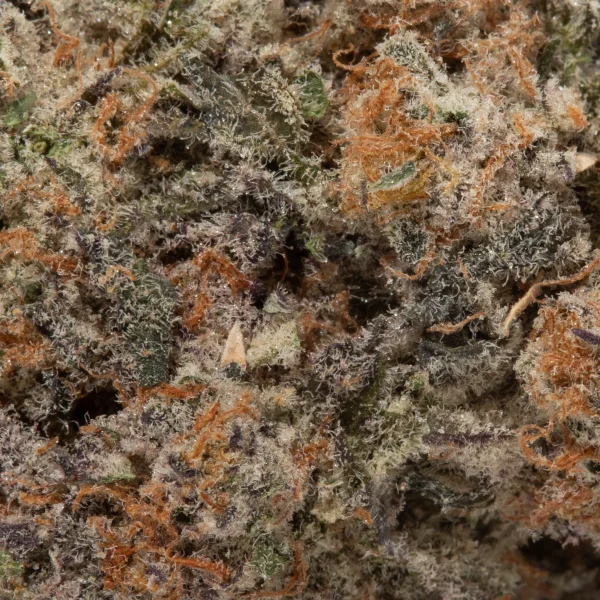 Buy Jelly Donut (AAAAA/Craft) Online | Elite Cannabis