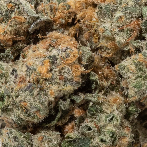 Buy Citrus Skunk (AAA) Online | Elite Cannabis